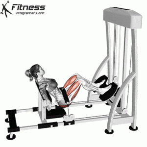 Hip Thrust Machine » Fitness Programer