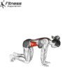Kneeling Back Rotation » Workout Planner