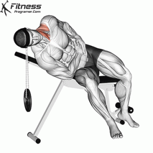 3 Weighted Neck Harness Exercises: Advanced Neck Workouts