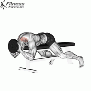 Lying Weighted Neck Extension » Fitness Programer