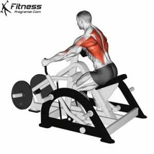 Plate Loaded Seated Row » Fitness Programer