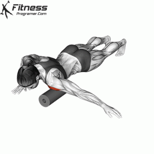 Foam Roller Front Shoulder And Chest » Workout Planner