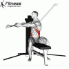Seated Cable Twist » Fitness Programer