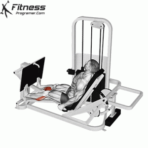 Seated Calf Press On Leg Press Machine » Workout Planner