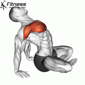 How To Do A Seated Chest Stretch: Open Your Chest And Delts