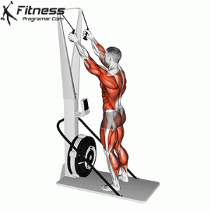 How To Use A SkiErg Machine: A Step-by-Step Visual Guide