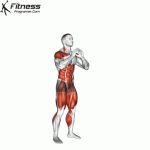 Squat Tuck Jump » Fitness Programer