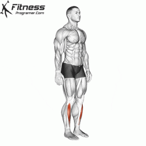 Standing Ankle Dorsiflexion: Proper Form With Pictures