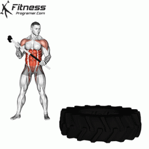 Tire Sledge Hammer » Workout Planner