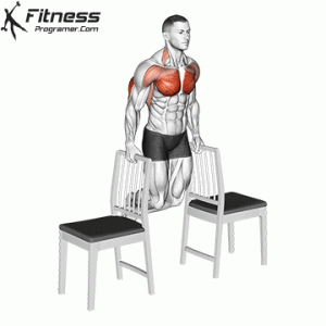 Master The Dips Between Chairs | Form, Tips And Benefits