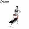 Lateral Step-up » Fitness Programer