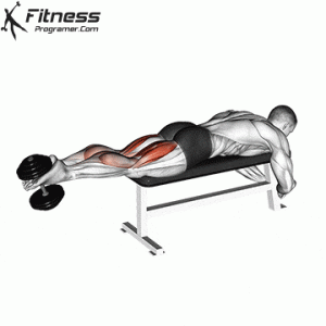 15 Best Hamstring Exercises: A Complete Workout Guide