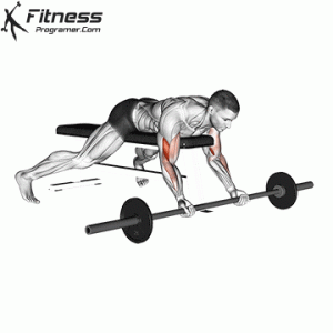 Maximize Biceps Growth With Lying High Bench Barbell Curls