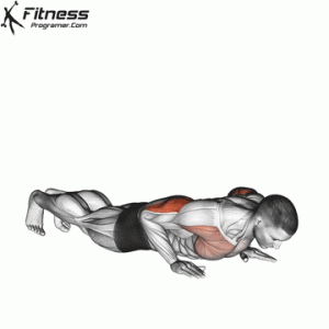 Reverse Dips » Fitness Programer