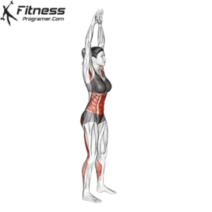 Standing Toe Touches » Workout Planner