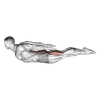 Locust Pose » Fitness Programer