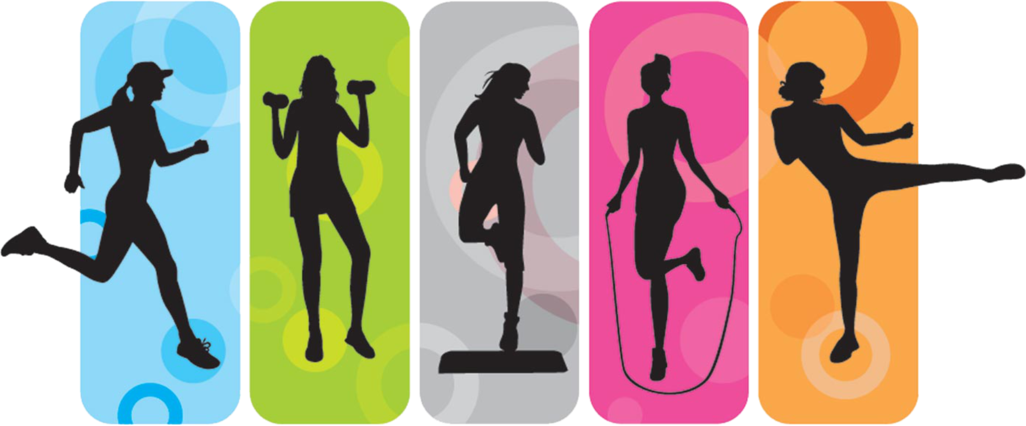 How To Create A Fitness Program Online Fitness Planner