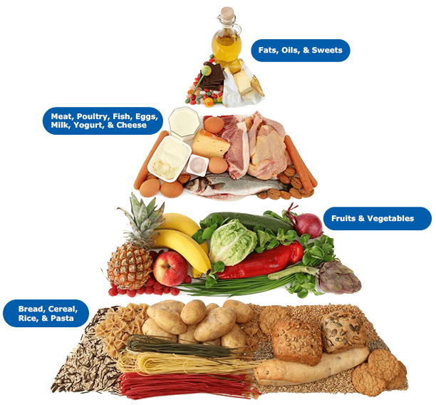 Bodybuilding Meals And Nutrition » Pre Training Meals