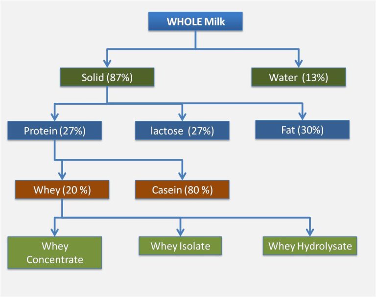 How To Choose The Best Whey Protein Powder » Workout Planner