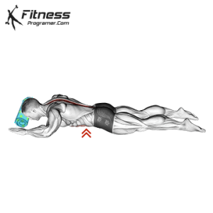 How To: Prone Abdominal Hollowing | Muscles Worked, Benefits