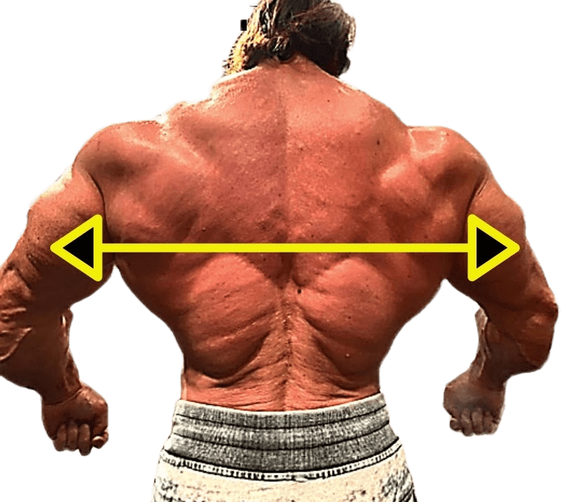 Rückentraining | So Bekommst Du Einen Breiten Rücken!