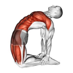 How To Start Boxing Training: A Beginner's Guide