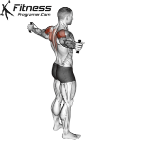 9 Shoulder Joint Movements | Anatomy And Function