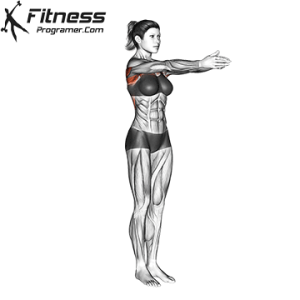 9 Shoulder Joint Movements | Anatomy And Function