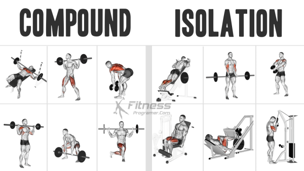 Compound Vs Isolation Exercises: Which Is More Effective?