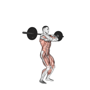 How To Incorporate Push Presses Into Your Workout Routines