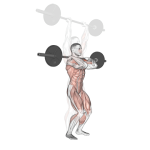 How To Incorporate Push Presses Into Your Workout Routines