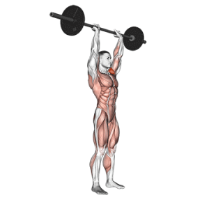 How To Incorporate Push Presses Into Your Workout Routines