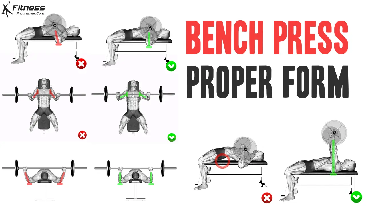 Bench Press Form Tips Bench Press Form Tips