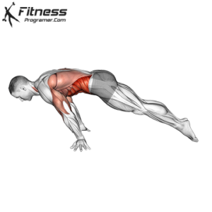 Mastering The Lean Planche: A Step-by-Step Guide