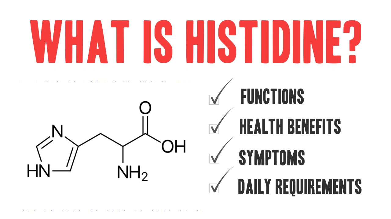 Histidine: Benefits, Functions, Deficiency, And Dietary Sources