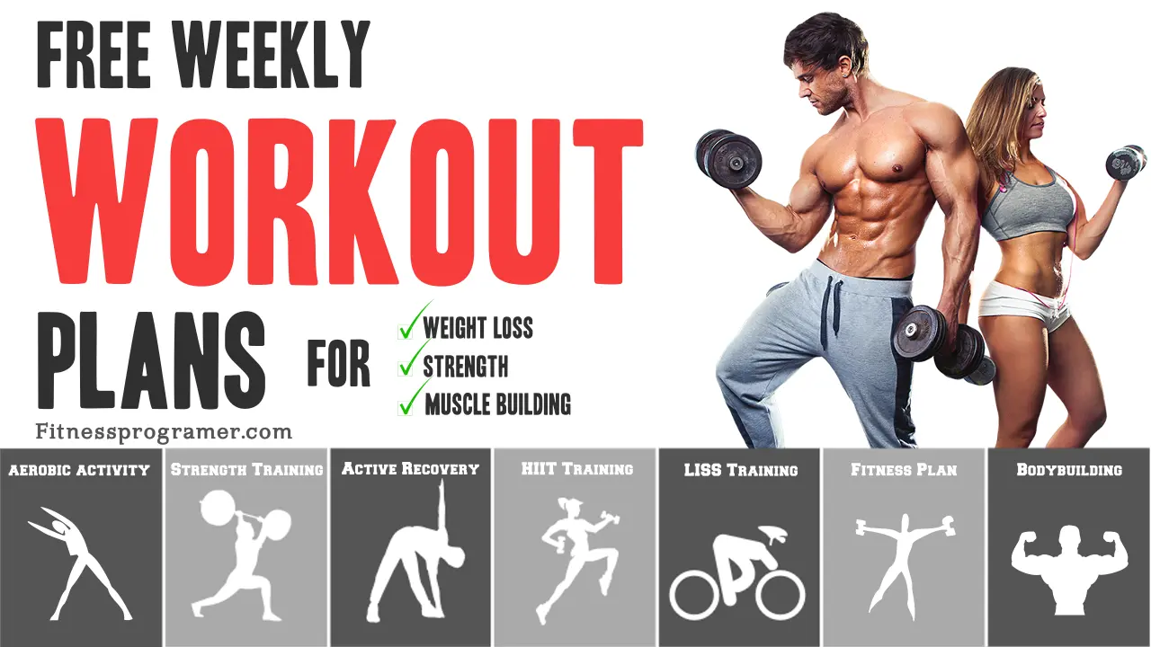 Free Weekly Workout Plans To Build Muscle | Workout Planner